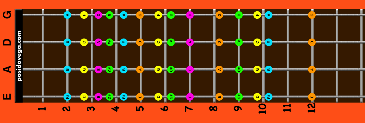 Bass Guitar Harmonics: Natural & Artificial Techniques